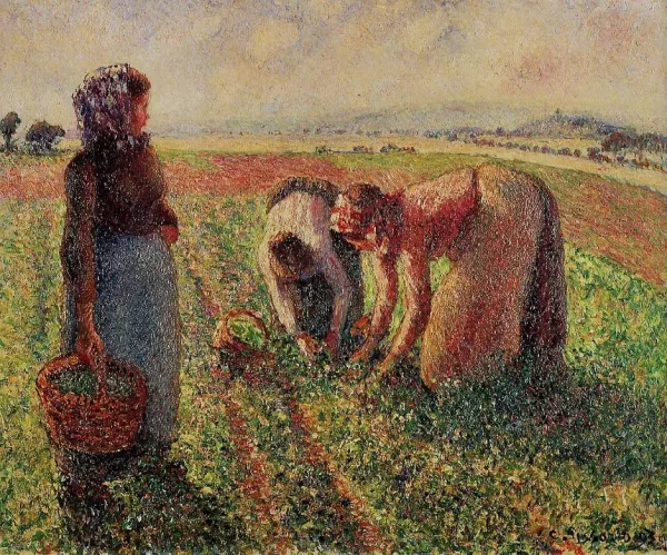 Camille Pissarro Picking Peas Oil Painting - CamillePissarroArt.org
